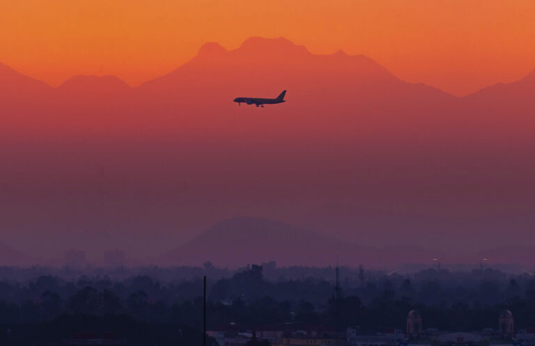Beeok llegó a México para guiar a las empresas hacia la sostenibilidad