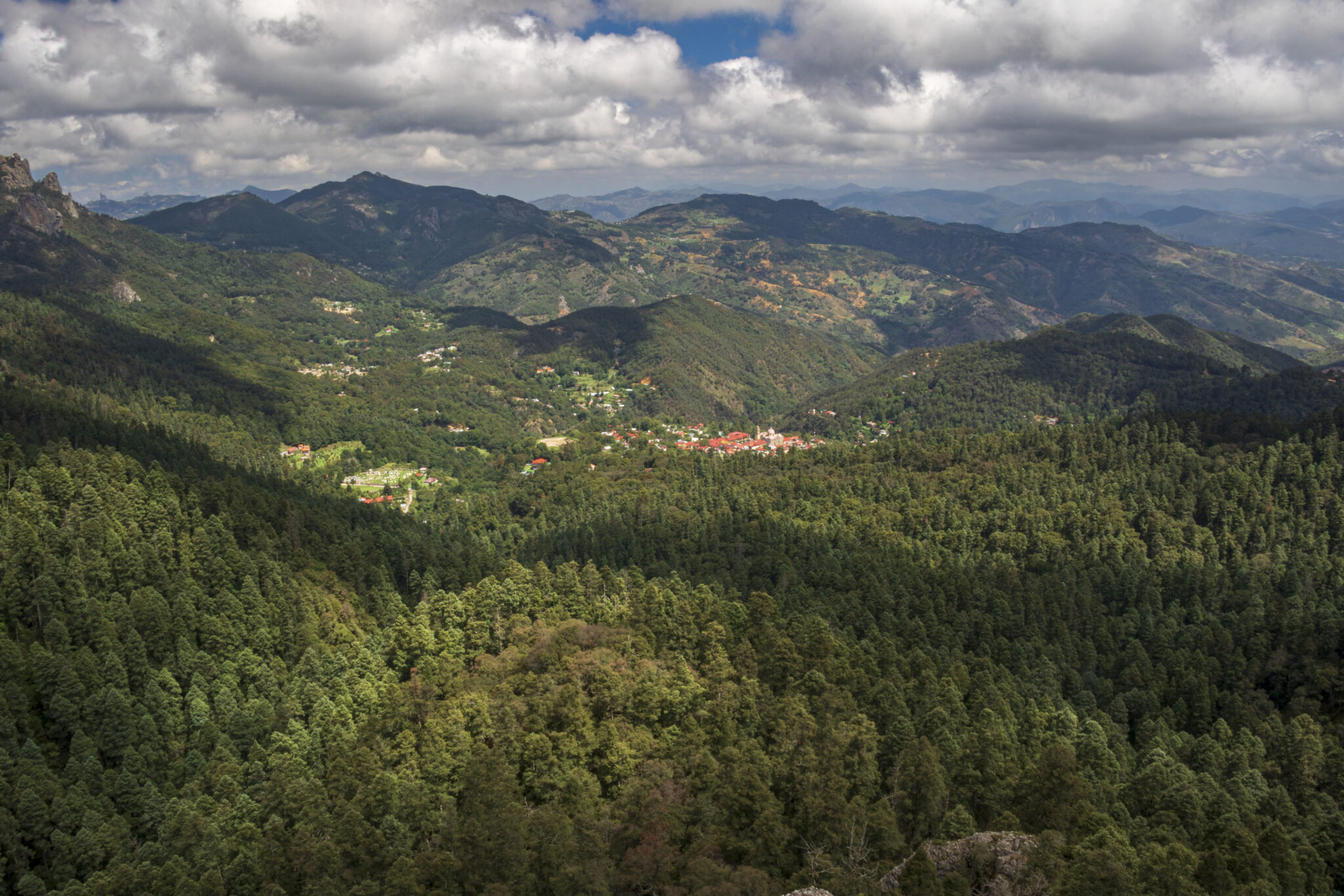 10 bosques mexicanos que tienes que conocer - Revista Ganar-Ganar