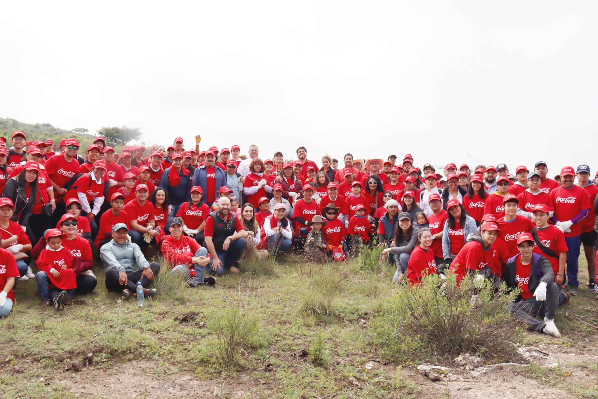 Grupo Rica presenta logros en sostenibilidad durante 2024 - Revista ...